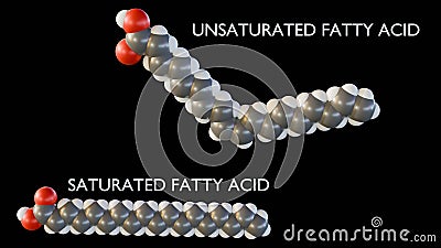 Chemical Structures Of Saturated And Unsaturated Fatty Acids. Stock ...