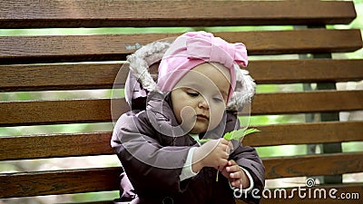 Dad Shows the Child a Green Leaf of a Tree. Stock Footage - Video of ...
