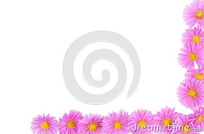 Daisy Flower Border Stock Photography | CartoonDealer.com #11274482