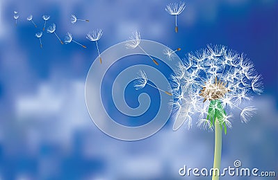 Dandelion Fly Stock Images - Image: 20362784