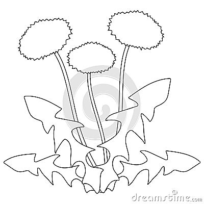 Dandelion Outline Image On White Background Vector Illustration ...
