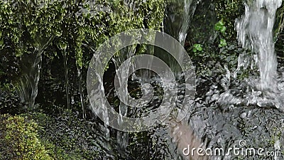 A Daytime Shot of a Waterfall with Surrounding Greenery. Pano Stock ...