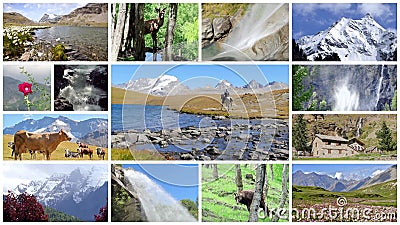 De Collage Van Alpen Hooggebergte, Flora, Fauna En Mensen Stock Video ...