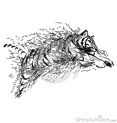 Schets Springende Kangoeroe Vector Illustratie - Illustration of schets ...