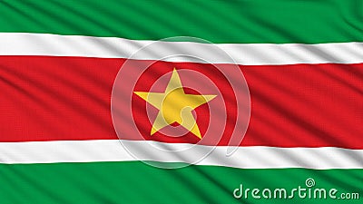 De Vlag van Suriname. stock videobeelden. Video of republiek - 38446640