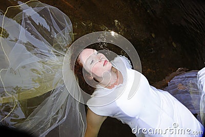 Dead Bride Stock Image - Image: 19516051