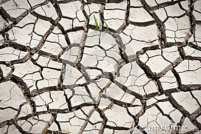 Dead Soil Royalty Free Stock Images - Image: 22566739