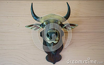 Dead Wild Ox's Head On Wall Stock Photo - Image: 62198669