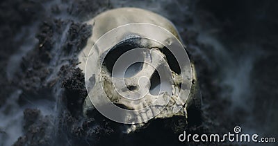 Decaying skull in the soil stock video. Video of skeleton - 174776459