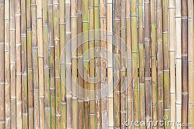 Decorative Wall Panel, Colorful Bamboo Stems In Vertical Pattern ...