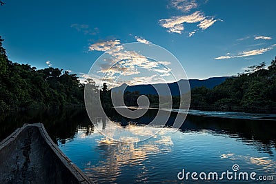 Deep in the Amazon Jungle stock photo. Image of south - 97421424