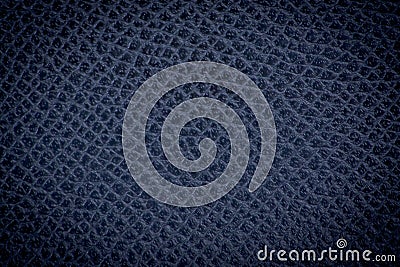 Deep Blue Skin Texture Royalty-Free Stock Image | CartoonDealer.com ...