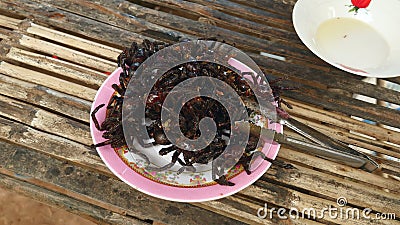 Pile of Deep Fried Tarantulas in a Bowl ( Close-up ) Stock Footage ...