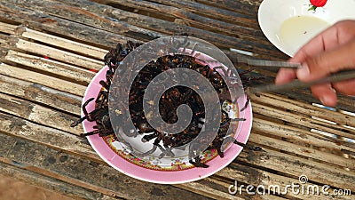 Pile of Deep Fried Tarantulas in a Bowl ( Close-up ) Stock Footage ...