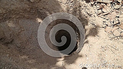 Deep Hole in the Ground in the Jungle. Mine, Extraction of Mica Stock ...