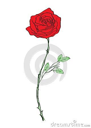Deep Red, Ruby Rose Flowe Cartoon Vector | CartoonDealer.com #114969977