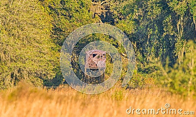 Deer Tree Stand At The Edge Of Tree Line Overlooking Meadow Grassland ...