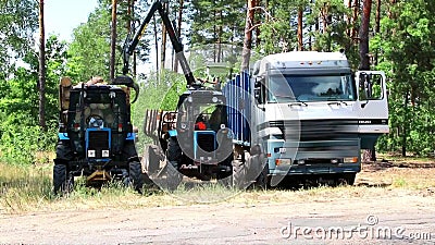 Deforestation and Automated Loading Onto a Truck Vehicle Stock Footage ...