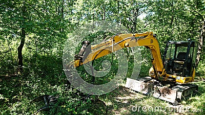 Deforestation. JCB Digger In A Forest Editorial Photo | CartoonDealer ...