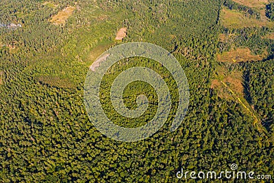 Deforestation, Large-scale Deforestation, Destruction Of The ...