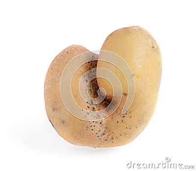 Deformed Potato Royalty Free Stock Photos - Image: 30260578