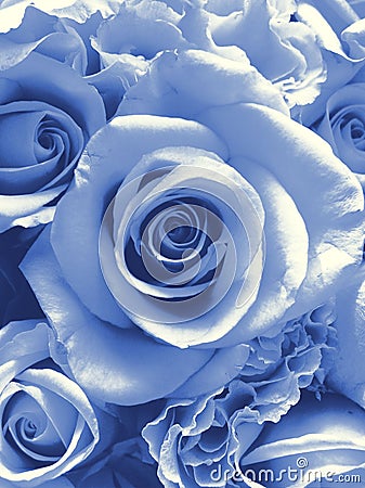 Delft Blue Wedding Bouquet Stock Photos - Image: 6563863
