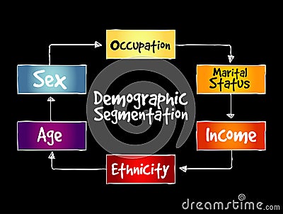 Demographic Segmentation Mind Map Flowchart Stock Photo | CartoonDealer ...