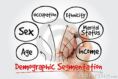 Demographic Segmentation Mind Map Flowchart Social Business Concept For ...