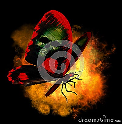 Demon Butterfly Stock Photo - Image: 1111990