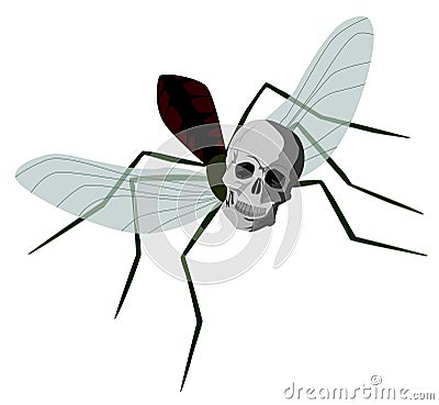 Dengue Mosquito Stock Photography - Image: 23973662