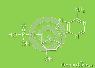 Deoxyadenosine Monophosphate DAMP Nucleotide Molecule. DNA Building ...