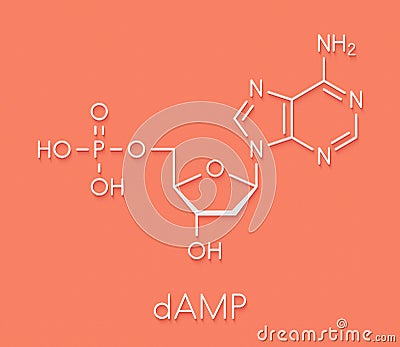 Deoxyadenosine Monophosphate DAMP Nucleotide Molecule. DNA Building ...
