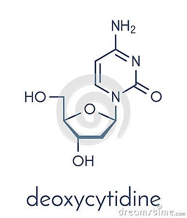 Deoxycytidine DC Nucleoside Molecule. DNA Building Block. Skeletal ...