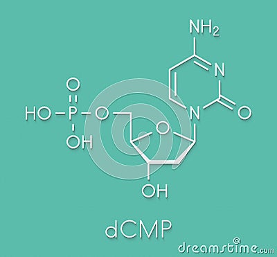 Deoxycytidine Monophosphate DCMP Nucleotide Molecule. DNA Building ...