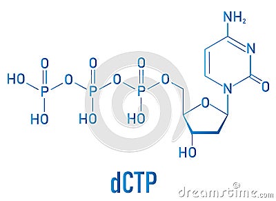 Deoxycytidine Triphosphate Or DCTP Nucleotide Molecule. DNA Building ...