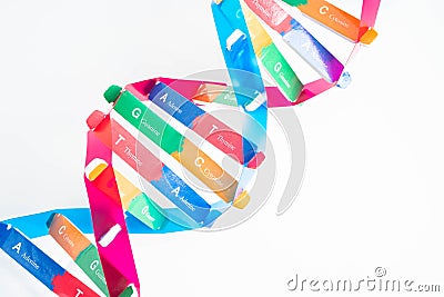 Deoxyribonucleic Acid Or DNA, Double Helix Chains Structure Formed By ...