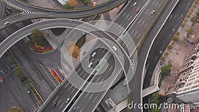 Ant Highway - Large Swarm of Ants Walking - Extreme Closeup Stock Video ...