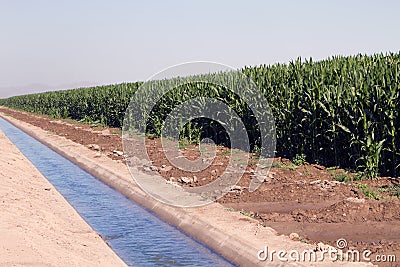 Desert Agriculture Farming Irrigation Canal Royalty Free Stock Image ...