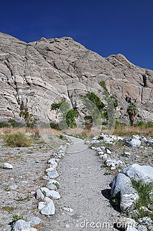 Desert Pathway Royalty-Free Stock Photography | CartoonDealer.com #24317987