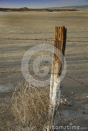 Desert Tumbleweed And Fencing Royalty-Free Stock Photography ...