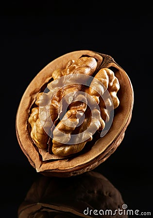 Walnuts Royalty-Free Stock Photography | CartoonDealer.com #329627975