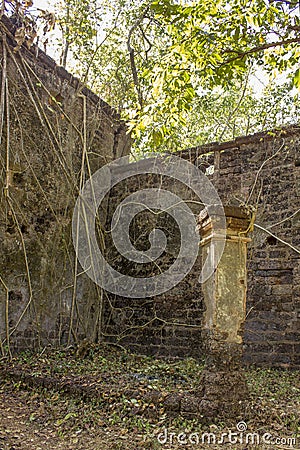 Destroyed Column And Walls Of An Ancient Fort Overgrown With Banyan ...