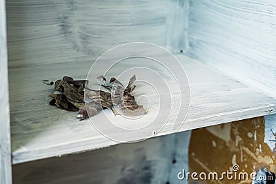 Destroyed Laminated Shelf. Broken Old Book Shelvels With Damage. Peel ...