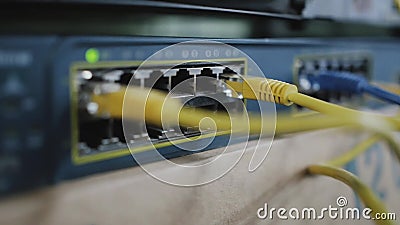 Detail of Network Cable Being Plugged into Networking Switchboard Stock ...