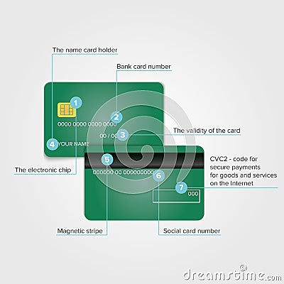 Detailed Realistic Green Credit Card Elements Infographic Vector ...