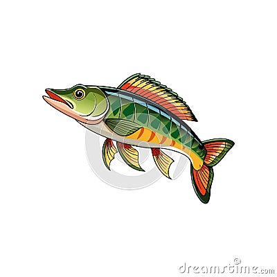 Detailed Redfin Pickerel Fish Illustration Featuring Bright Colors ...