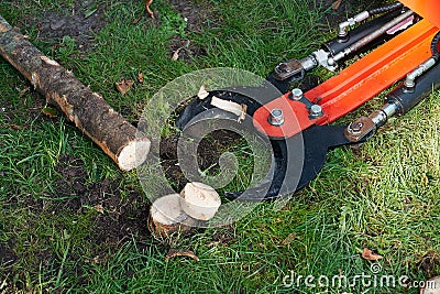 Details Of A Tree Cutting Machine Tool Stock Photo - Image: 39724344