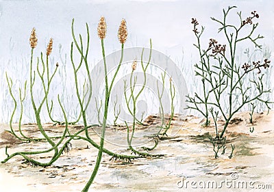 Devonian Plants Aglaophyton And Psilophyton Royalty-Free Stock ...