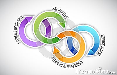 Diagram Of Healthy Life Cycle Stock Illustration | CartoonDealer.com ...