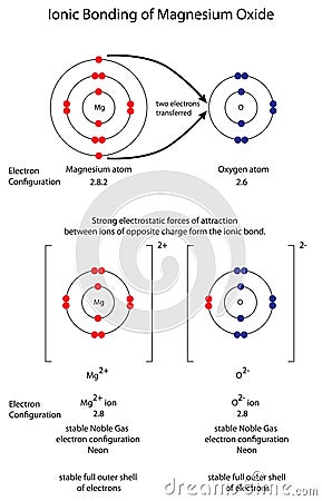 Diagram To Show Ionic Bonding In Magnesium Oxide MgO Royalty-Free Stock ...
